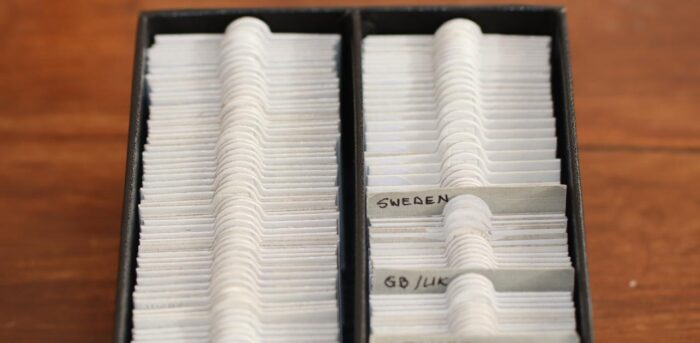 Mastering Numismatics: Guide to Organize Your Coin Collection